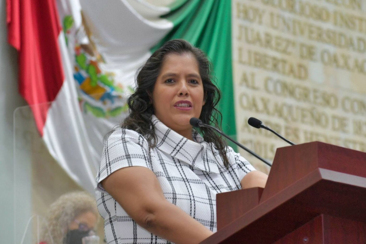 Diputada Laura Estrada plantea reforma a Ley de Movilidad, para expedir ...